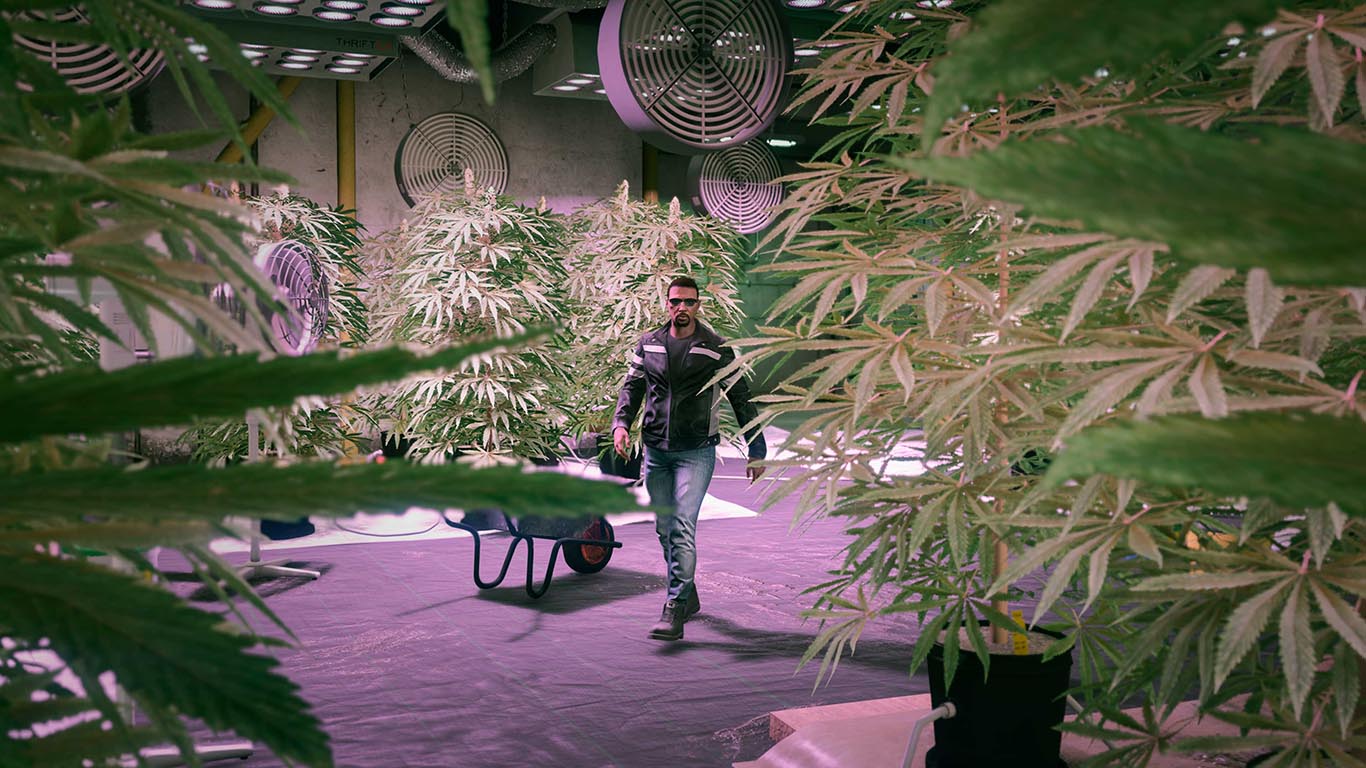 GTA Online celebra el 420 con grandes anuncios – MastekHw